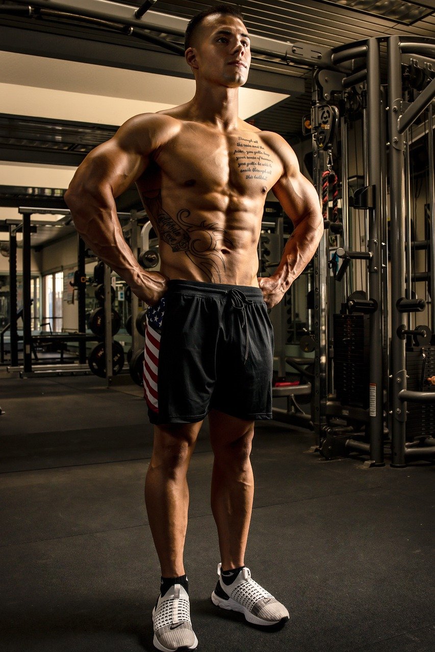 Relat v Interrupt Unalmas Push Pull Legs Workout Routine Szobor Kr ta 