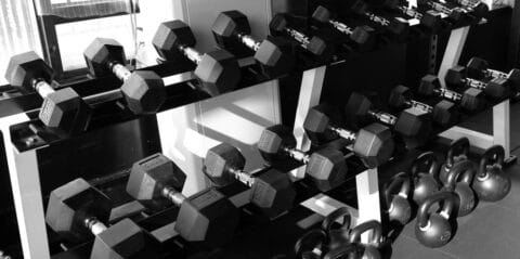 The “Push Pull Legs” PPL Workout Routine - Online Personal Trainer ...