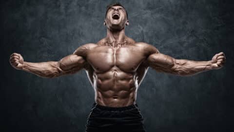 The Best 5 Day Workout Split Routine for Building Muscle & Gains ...