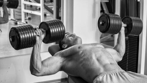 The Best 5 Day Workout Split Routine for Building Muscle & Gains ...