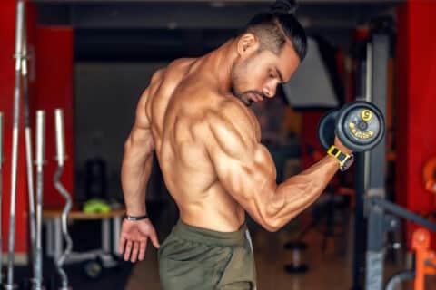 The Best 5 Day Workout Split Routine for Building Muscle & Gains ...